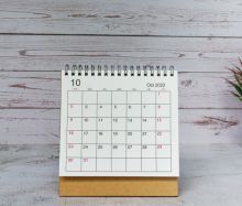 January February 2026 Calendar [Free Printable]